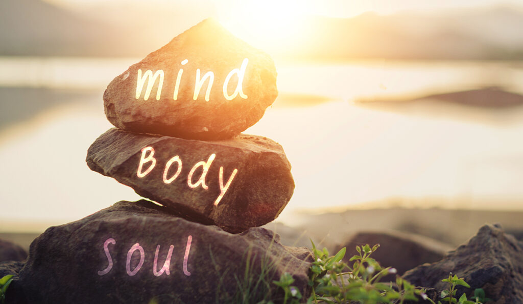 TLC Wellness – The Wellness Collective – The Wellness Collective